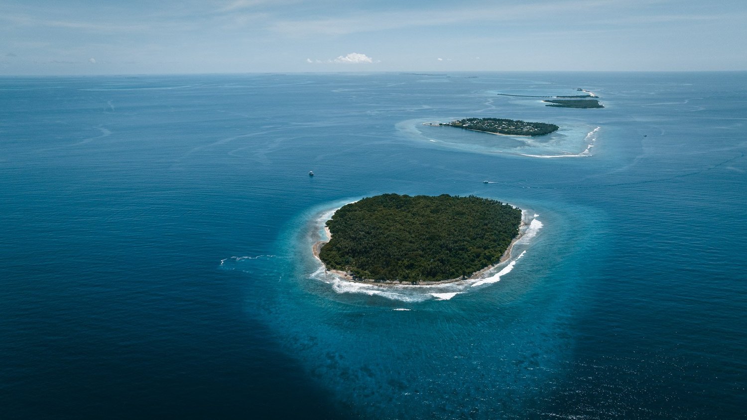 Maldives Natural History — Maldives Manta Conservation Programme