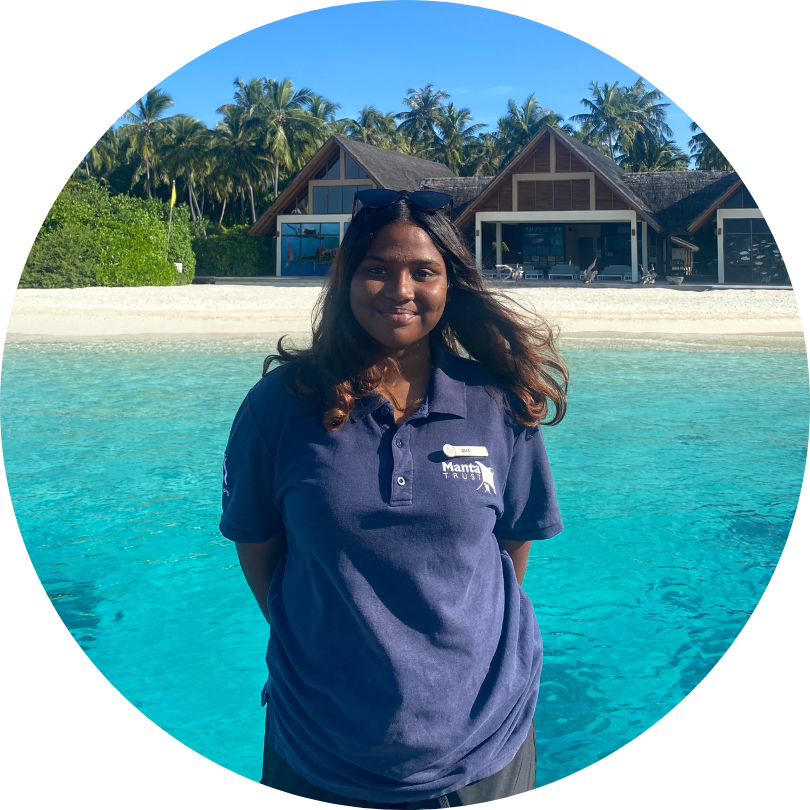 Careers & Volunteering — Maldives Manta Conservation Programme