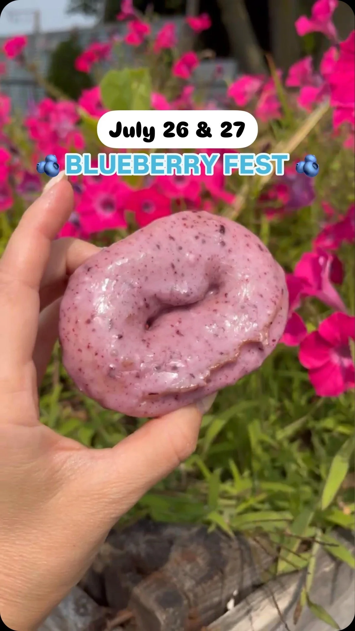 Winter Season — Dunneback Girls 2024