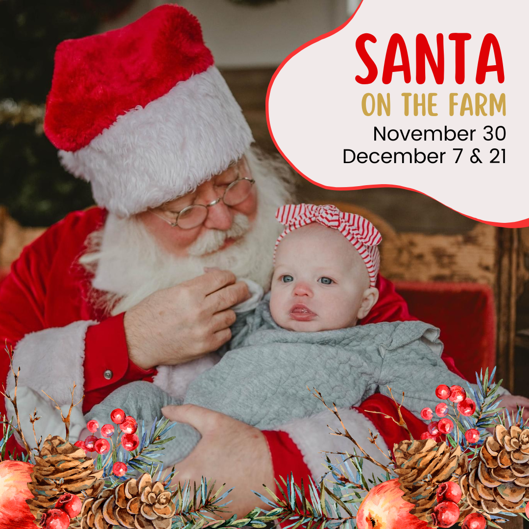 Dunneback Girls 2024