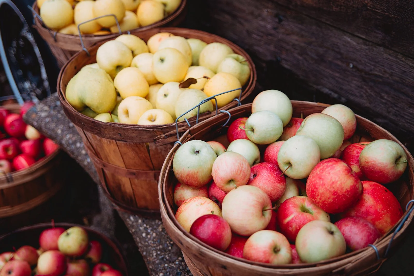 Fall Season — Dunneback Girls 2024