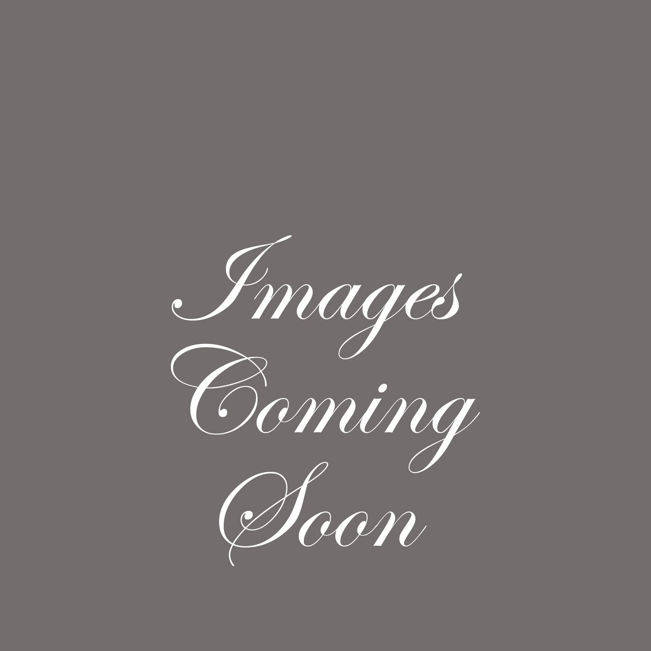 DACs — Wells Audio