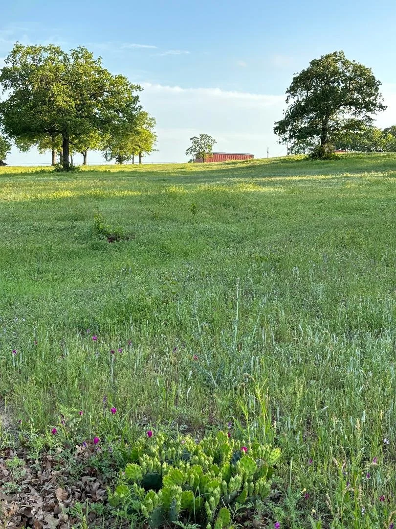 Rustic Haven Ranch LLC - Weddings & Events