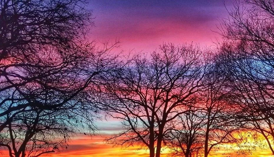 Rustic Haven Ranch LLC - Weddings & Events