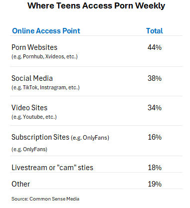 Data For A Difference | Youth and Pornography: A Growing Crisis