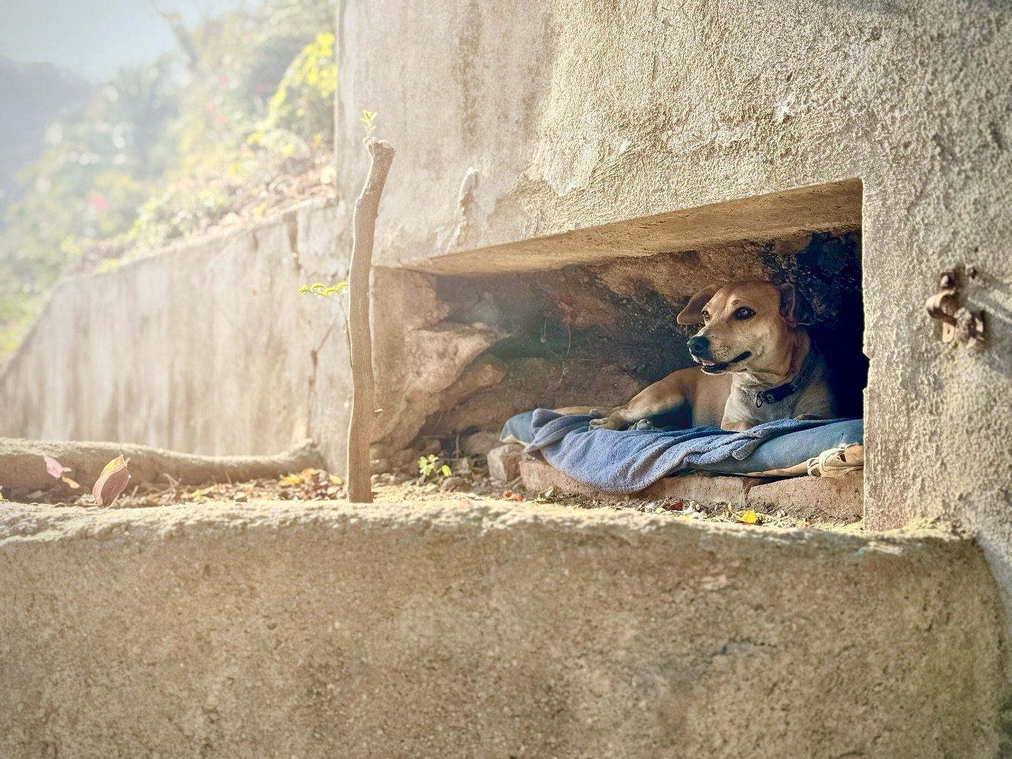 Puerto Vallarta and San Francisco Photographer — Michelle Kenyon ...
