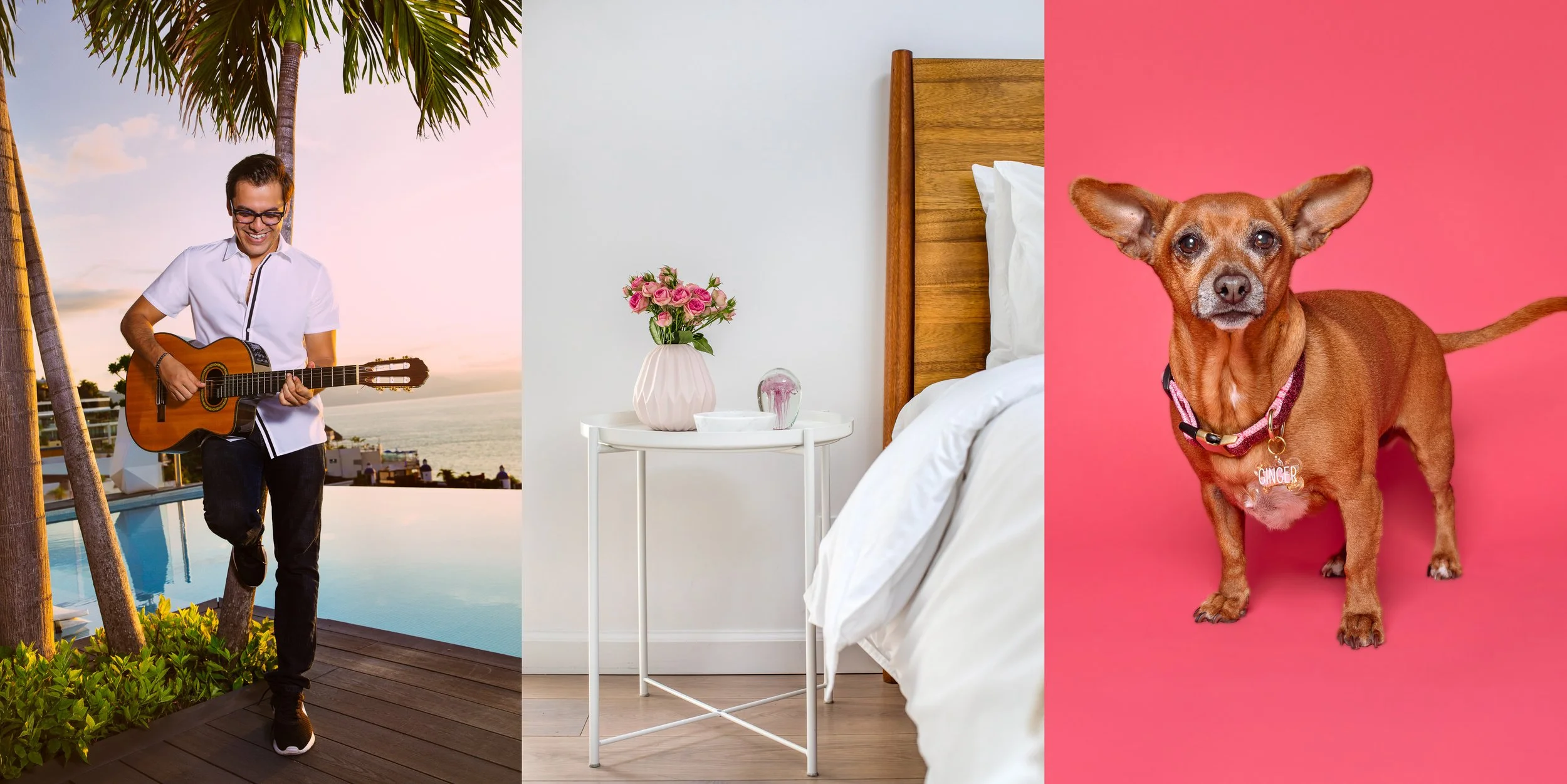 Puerto Vallarta and San Francisco Photographer — Michelle Kenyon ...