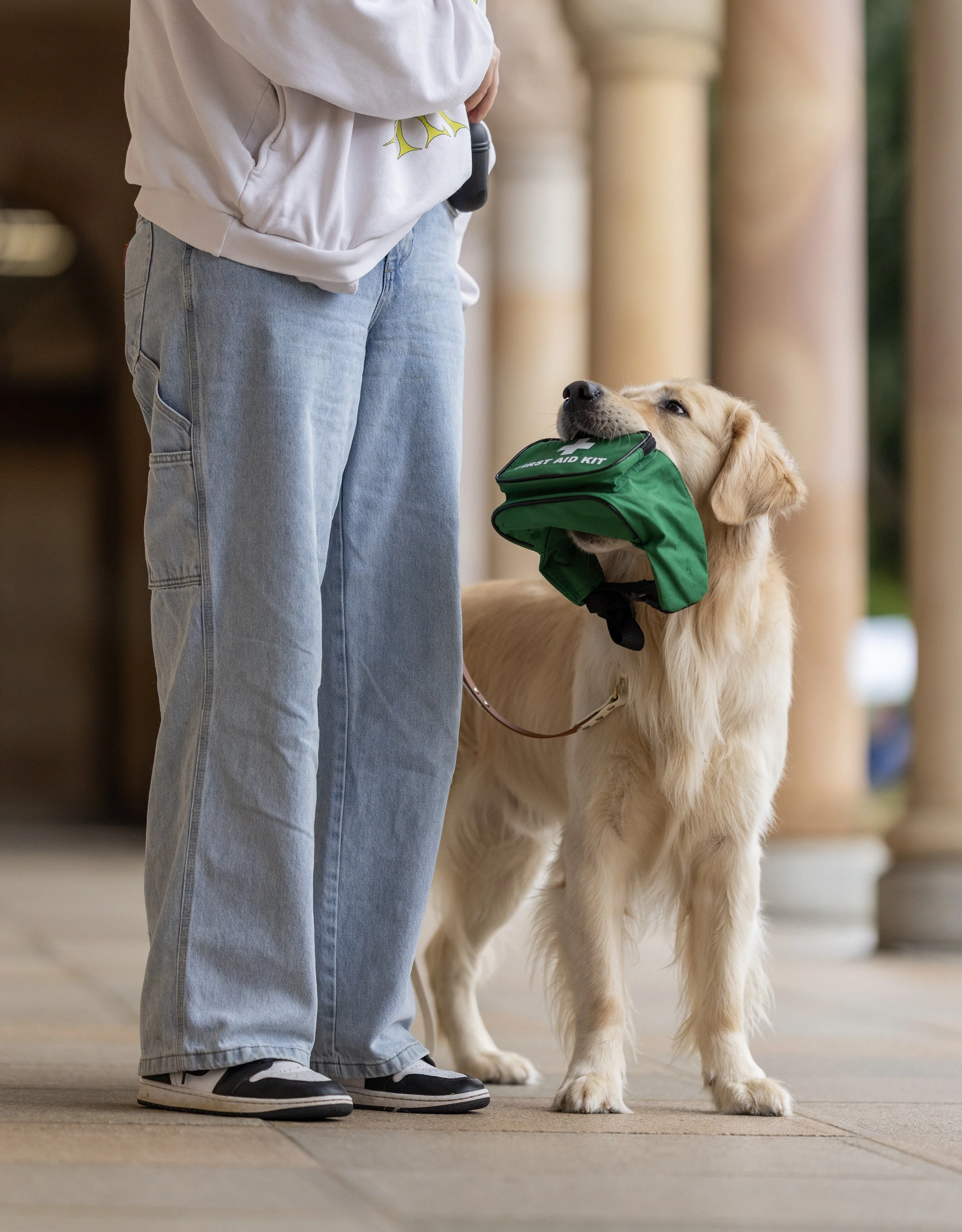 Assistance Dog Training — Canine Refined
