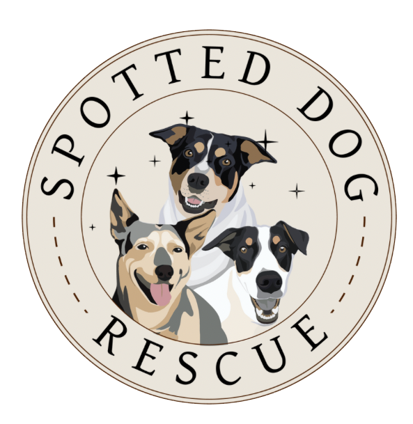 Spotted Dog Rescue