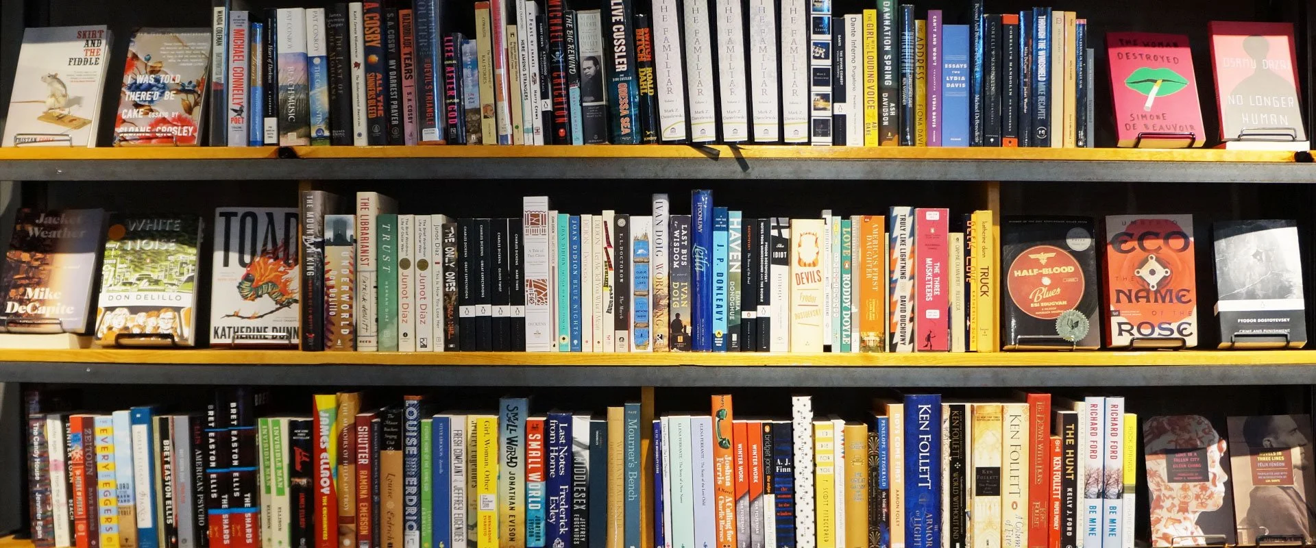 Visible Voice Books - Explore Your Inner Voice