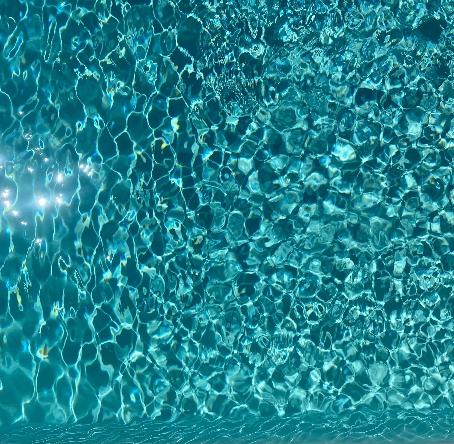 ABOUT — MAYA OPPENHEIM