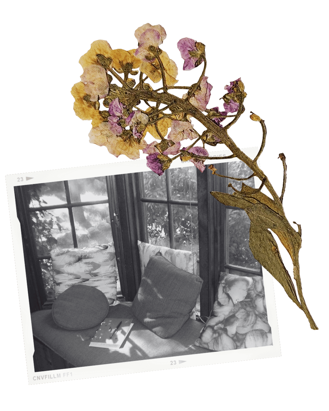 About — Judy Reeves