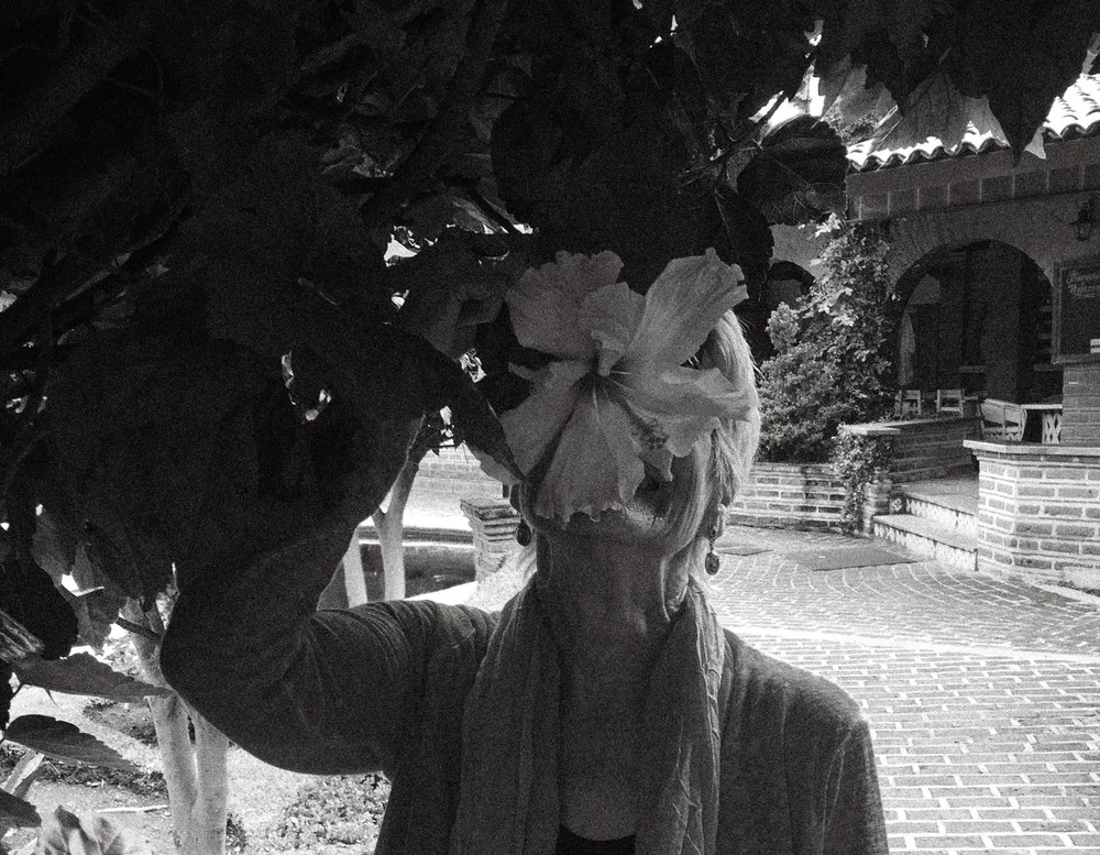 About — Judy Reeves