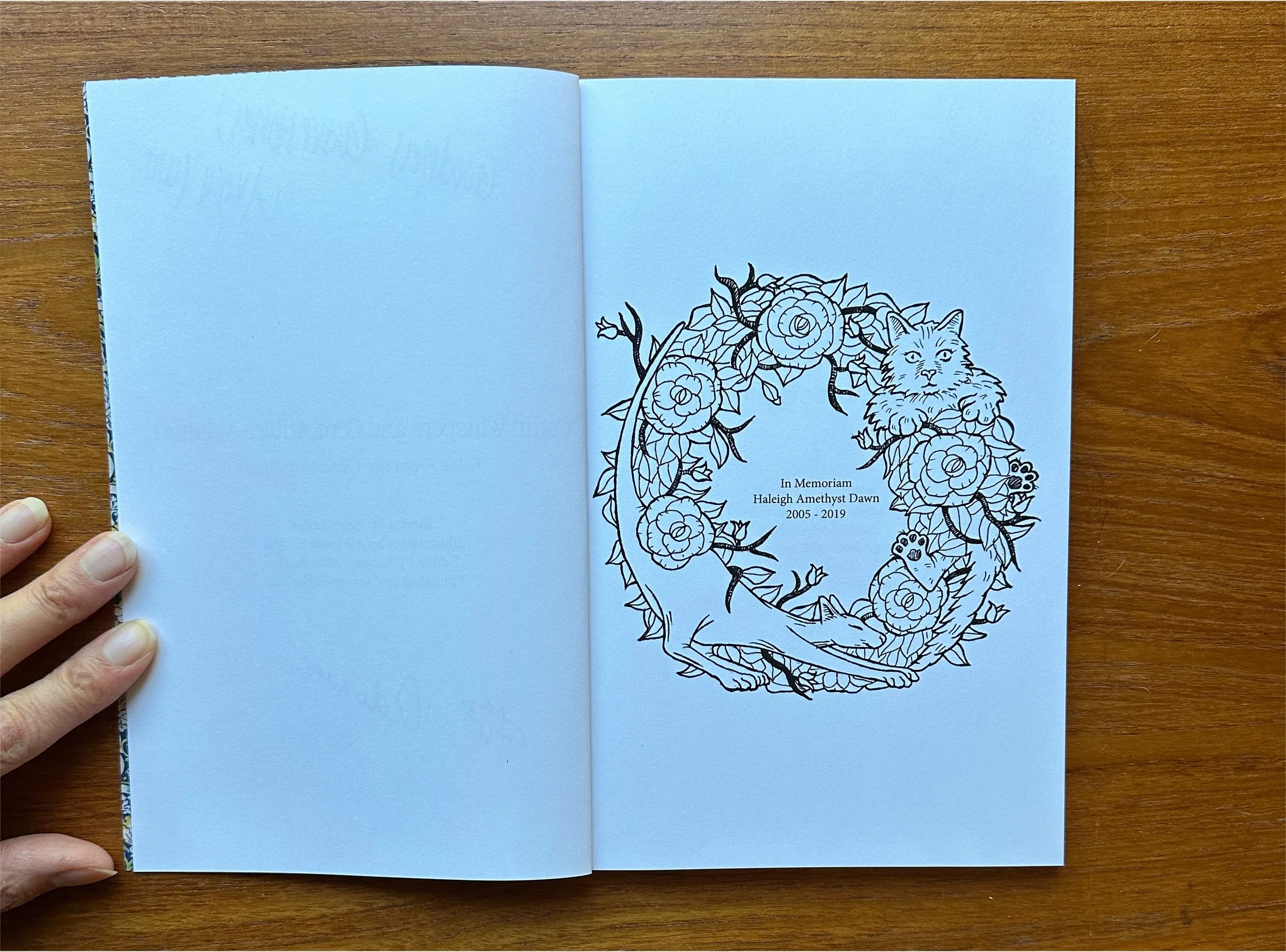 Illustration — Adrienne Simms Art