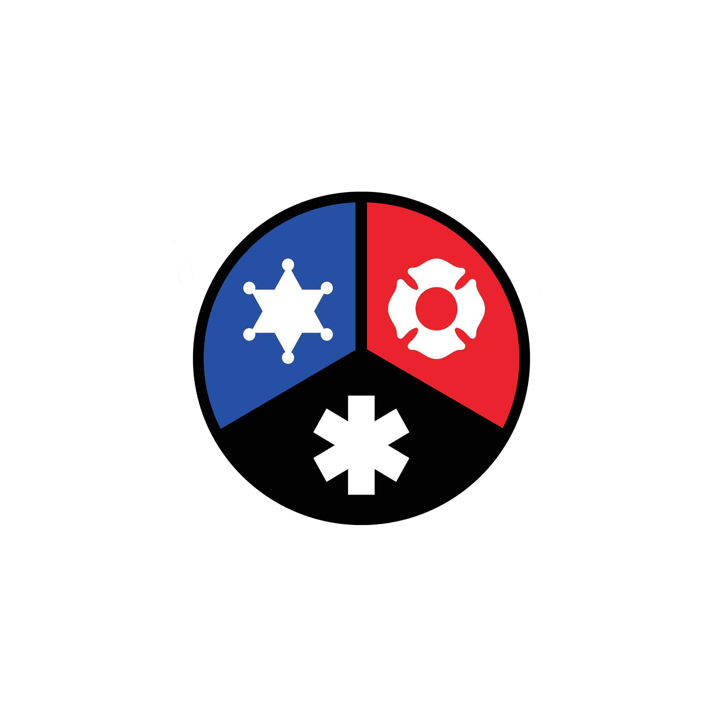 ANEW PERSPECTIVE INC.