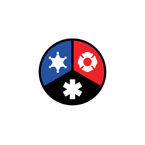 ANEW PERSPECTIVE INC.