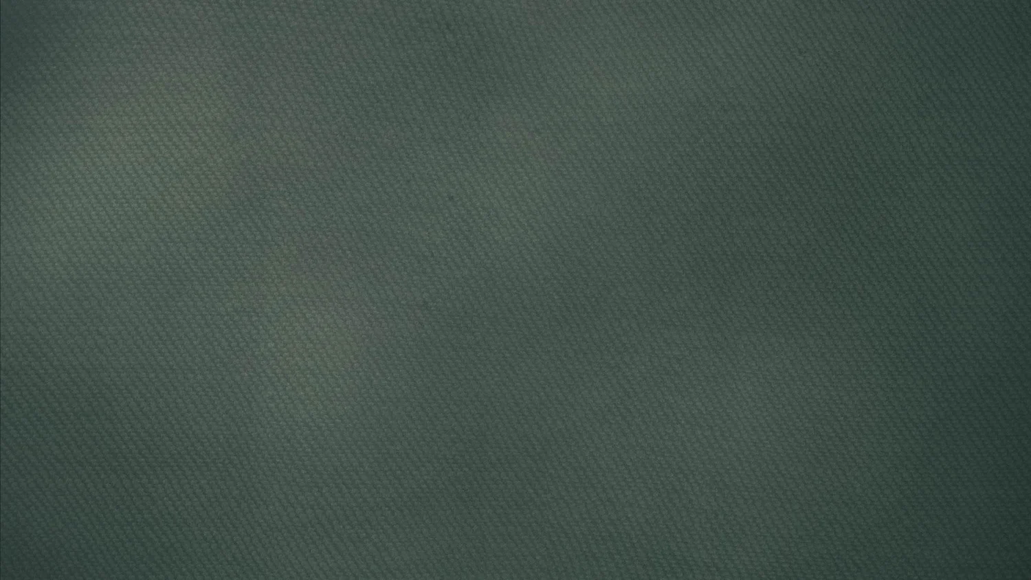 Majority Rules | Documentary by Director AJ Schnack