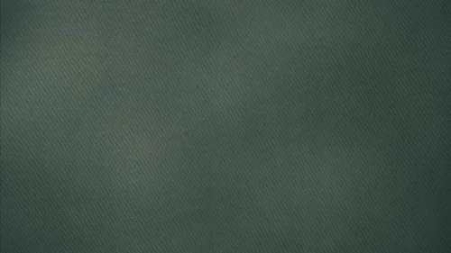 Majority Rules | Documentary by Director AJ Schnack