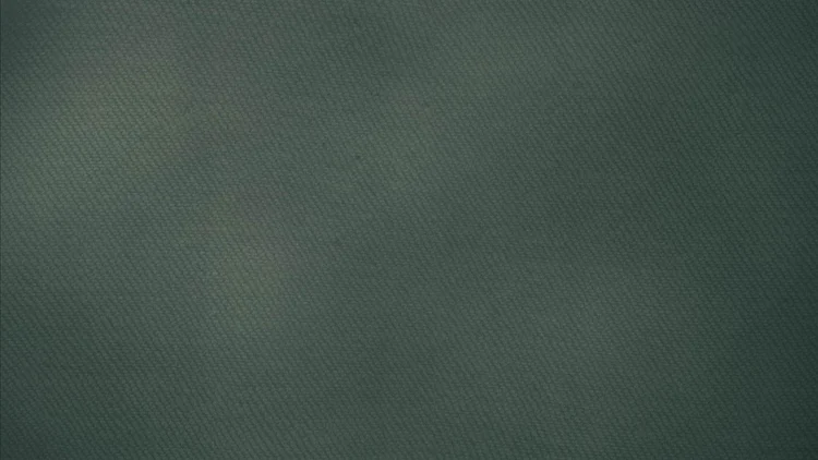 Majority Rules | Documentary by Director AJ Schnack