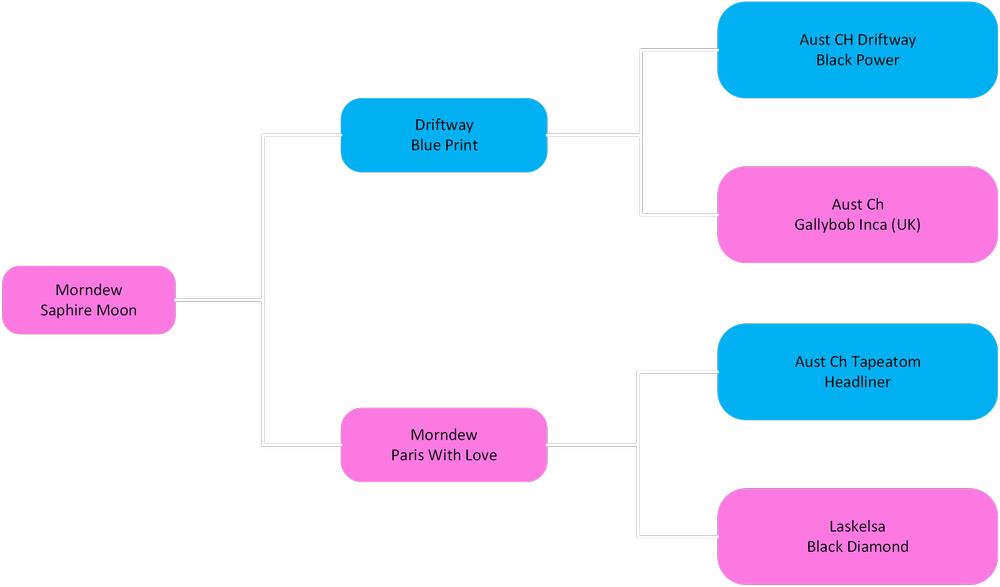 Morndew Sapphire Moon – ‘Chance’