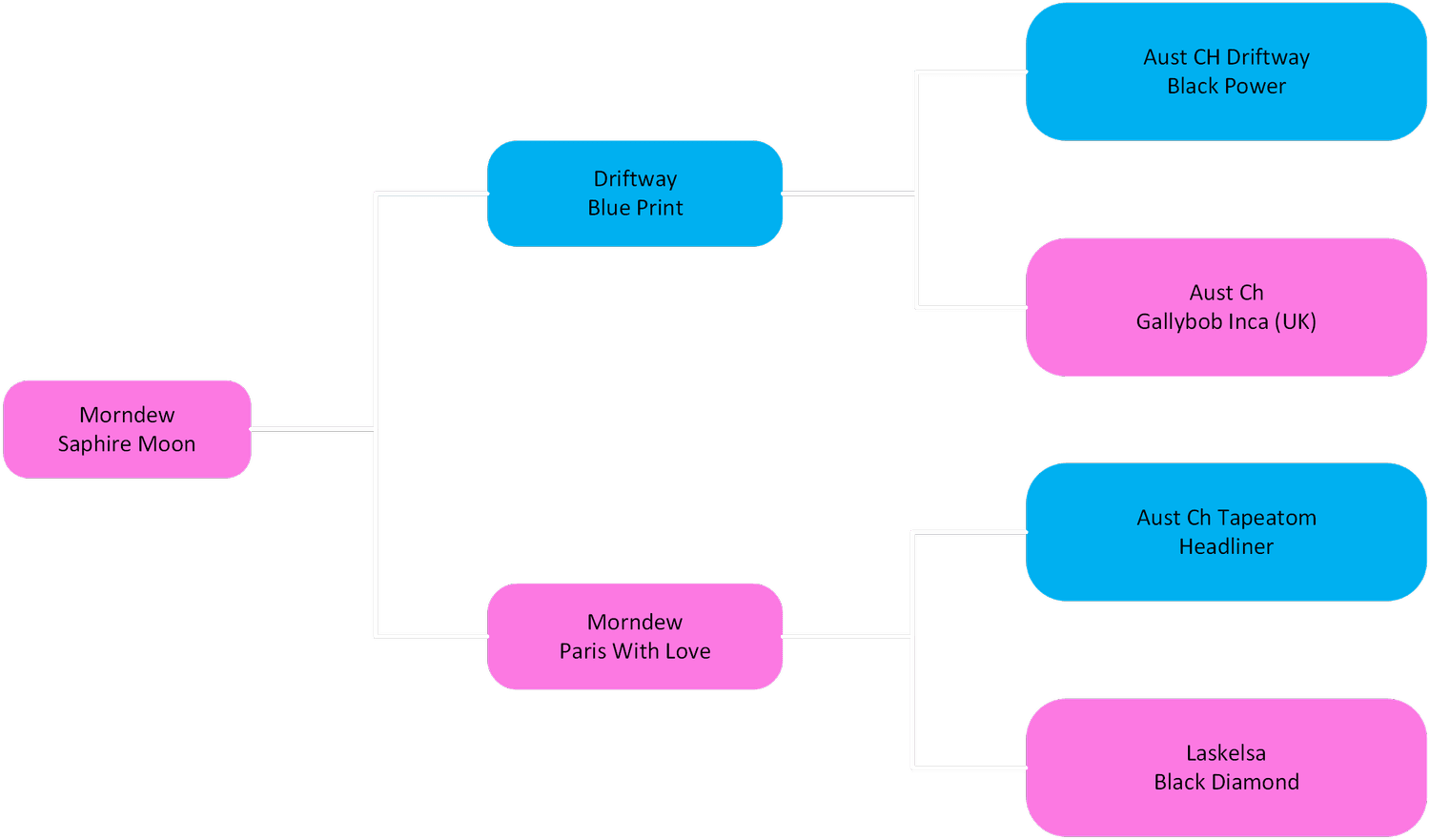 Morndew Sapphire Moon – ‘Chance’