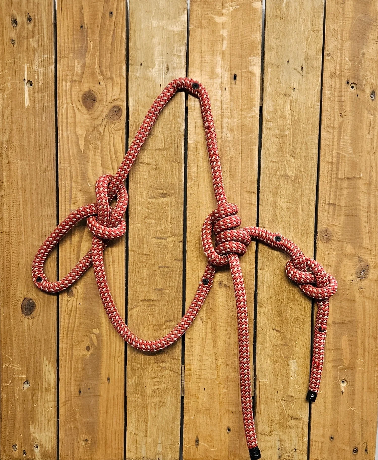 Training and assessment — Arborchase Training Ltd