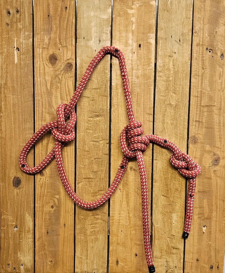 Training and assessment — Arborchase Training Ltd