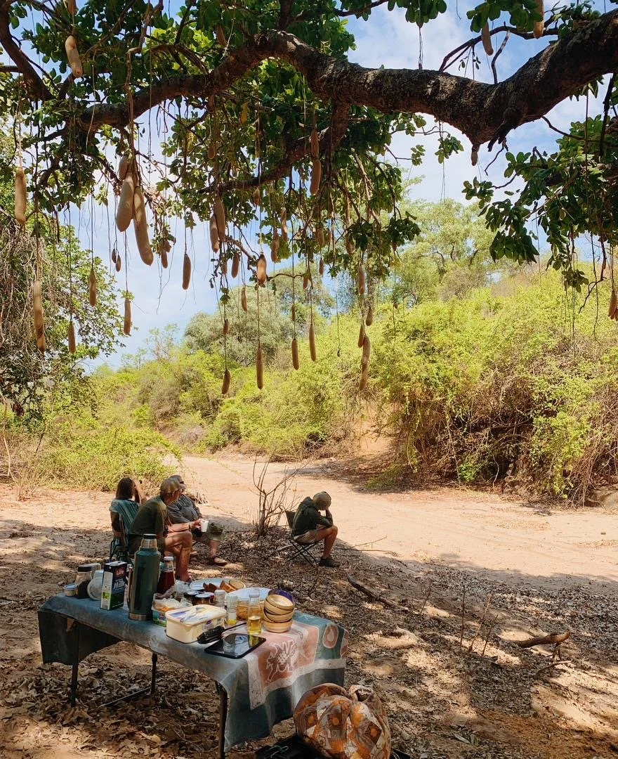 Mhara River Bush Camp