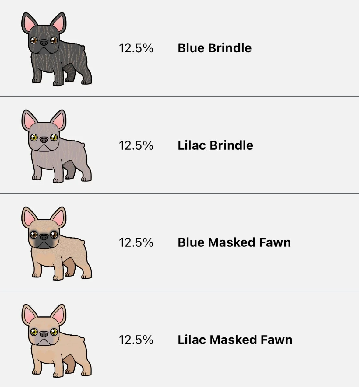 Available Puppies | Find Your Frenchie Today — North Carolina Frenchies