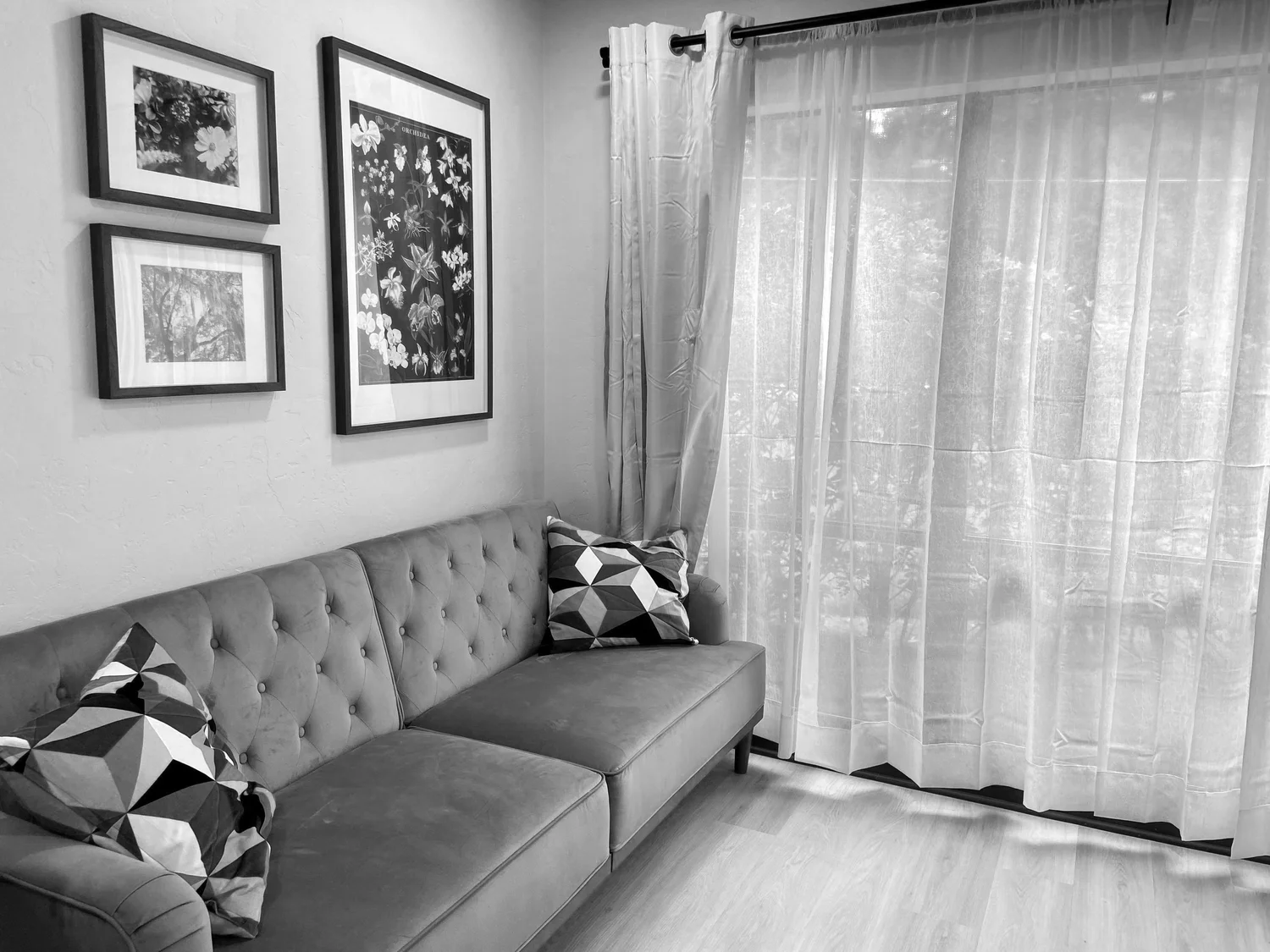 services — Bloom Health