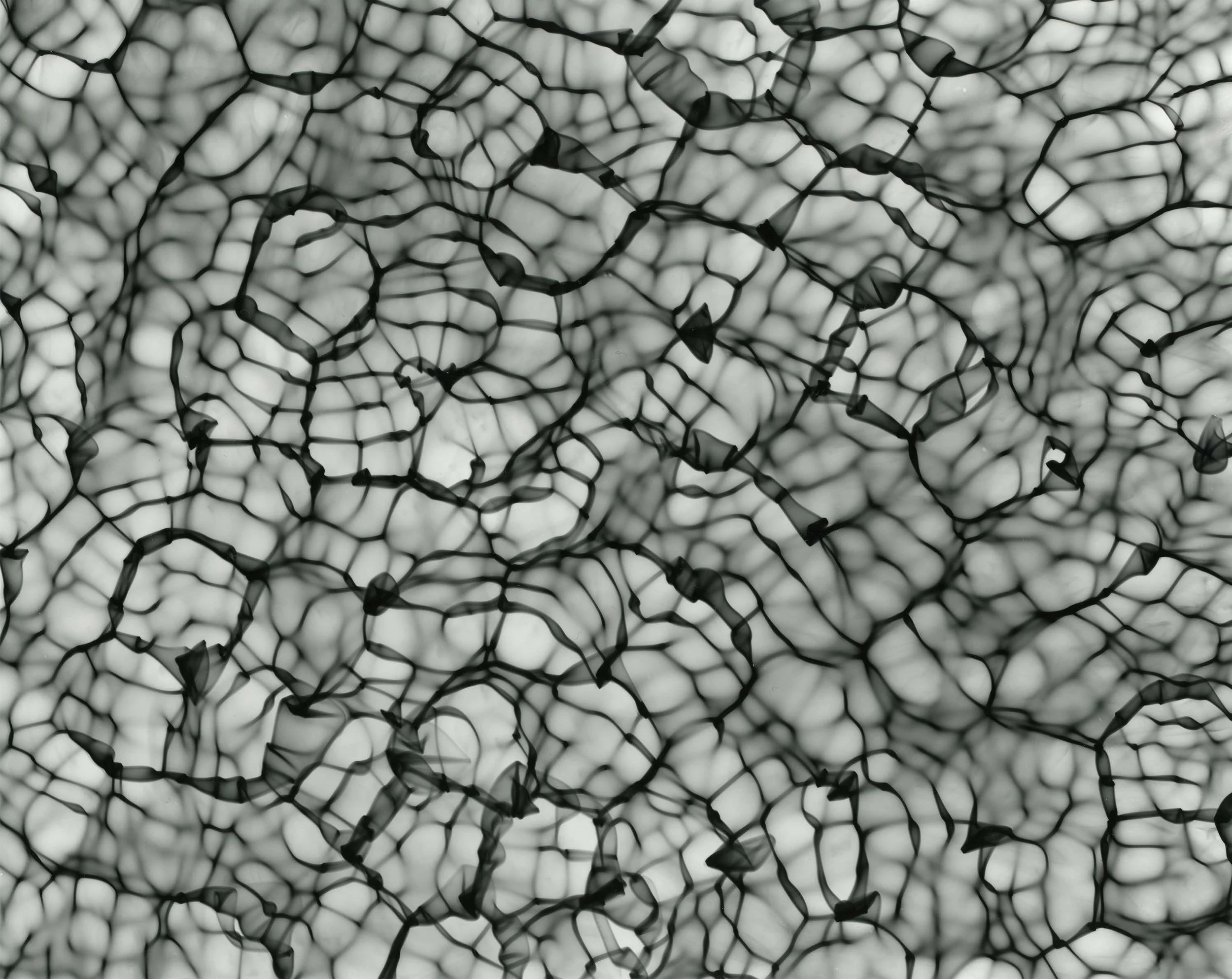 Watergrams — LACHLAN TURCZAN