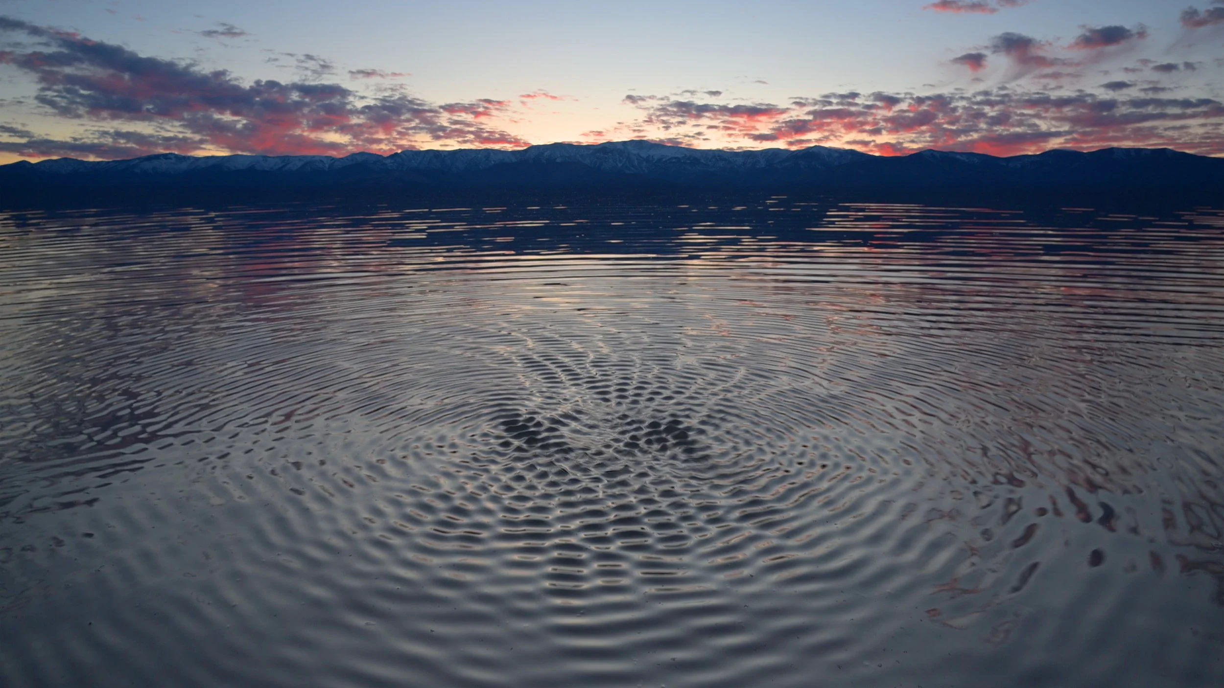 Seism — LACHLAN TURCZAN