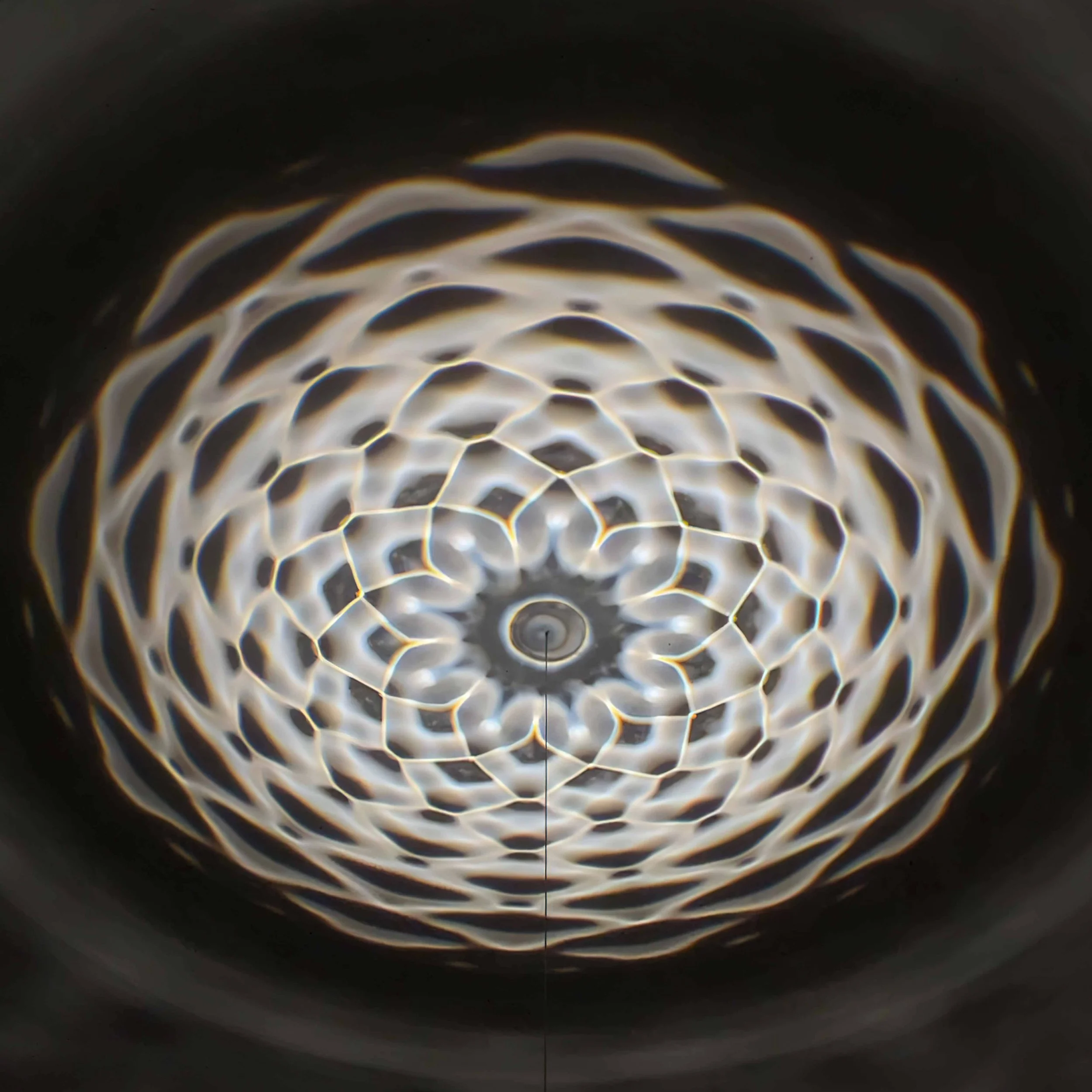 Wavespace — LACHLAN TURCZAN