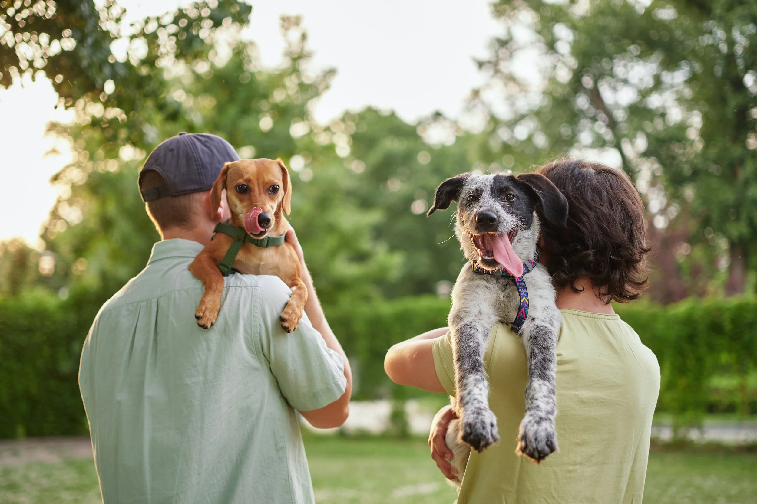 Friends of Tri-City Animal Shelter