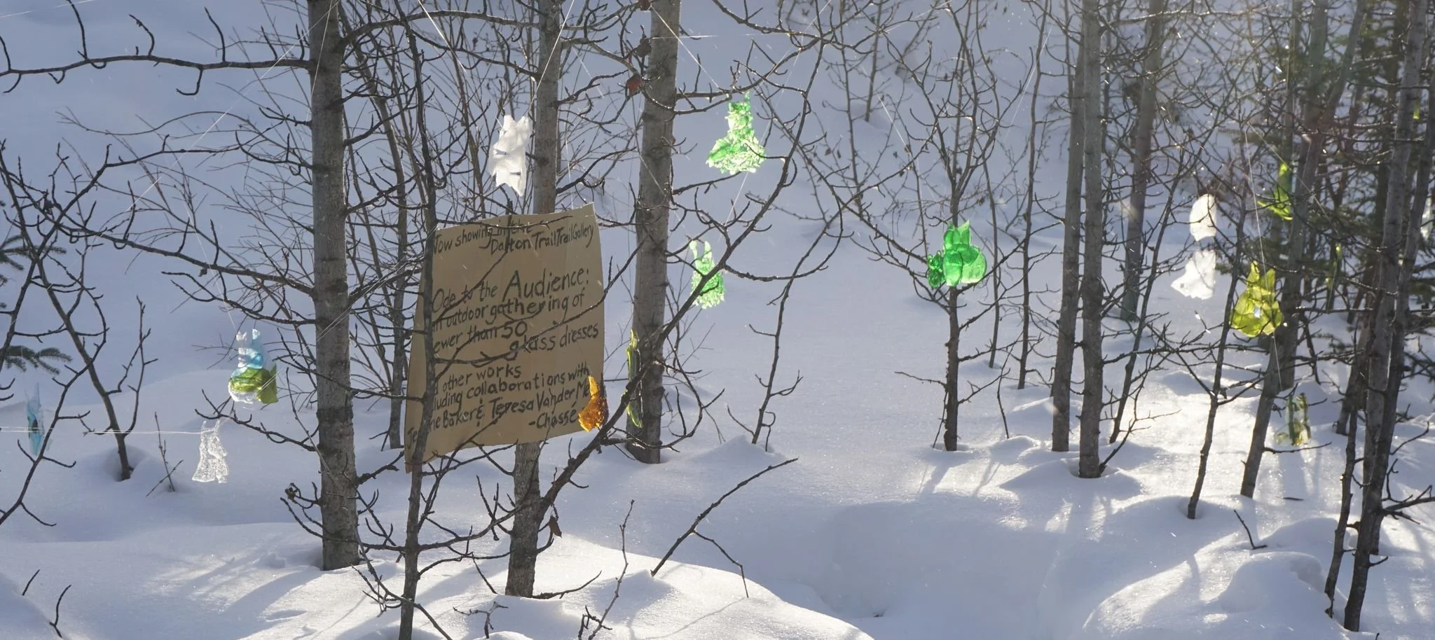 Dalton Trail Trail Gallery — Nicole Bauberger