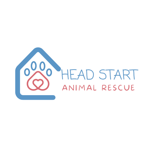 Head Start Animal Rescue Head Start Animal Rescue