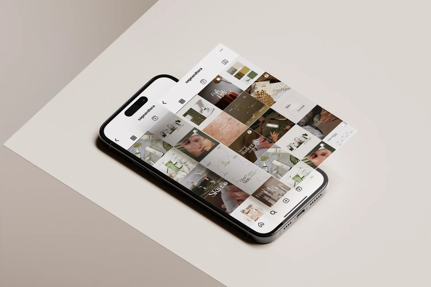 The Studio Collective | Digital Marketing Agency