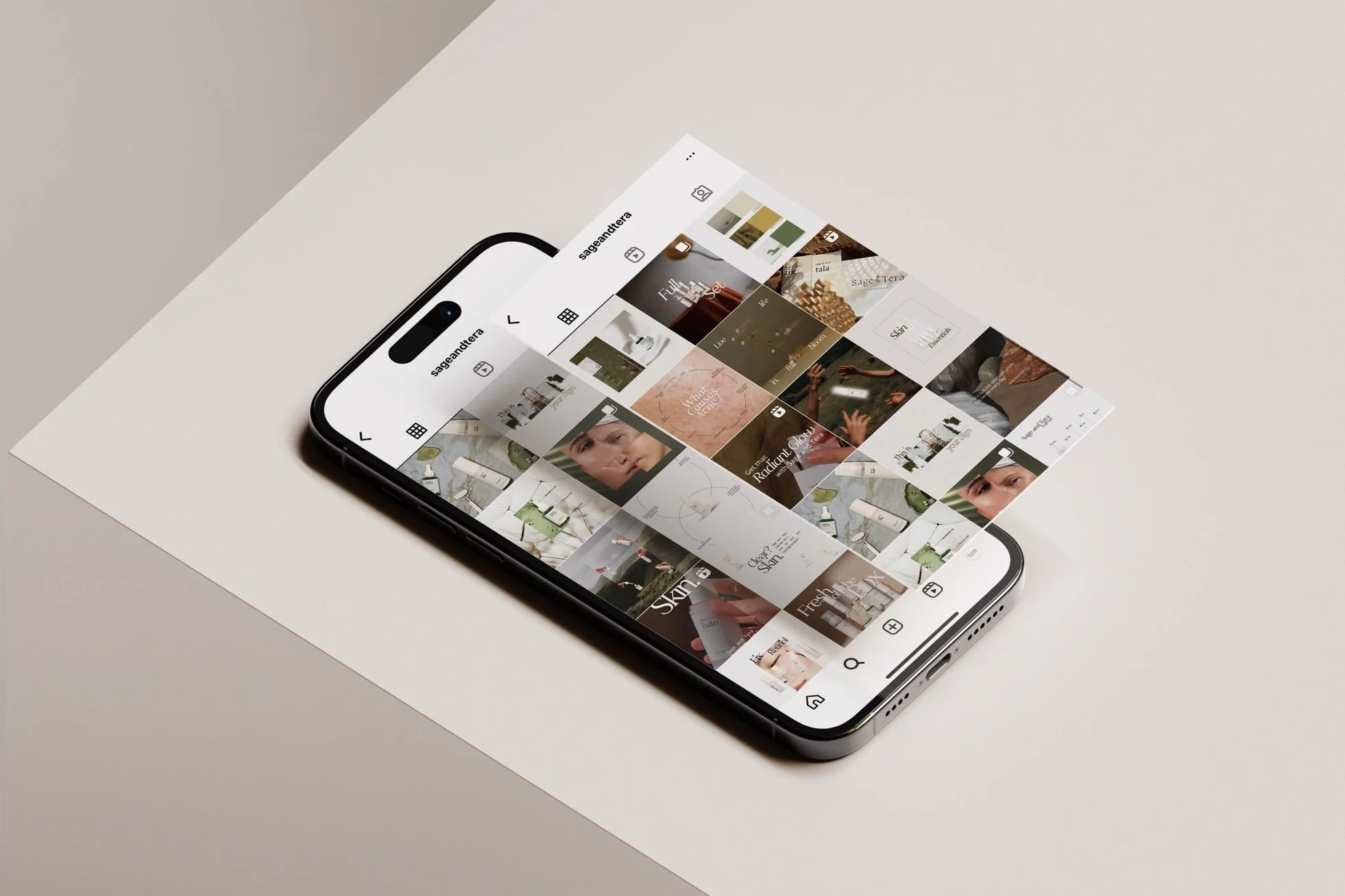 The Studio Collective | Digital Marketing Agency