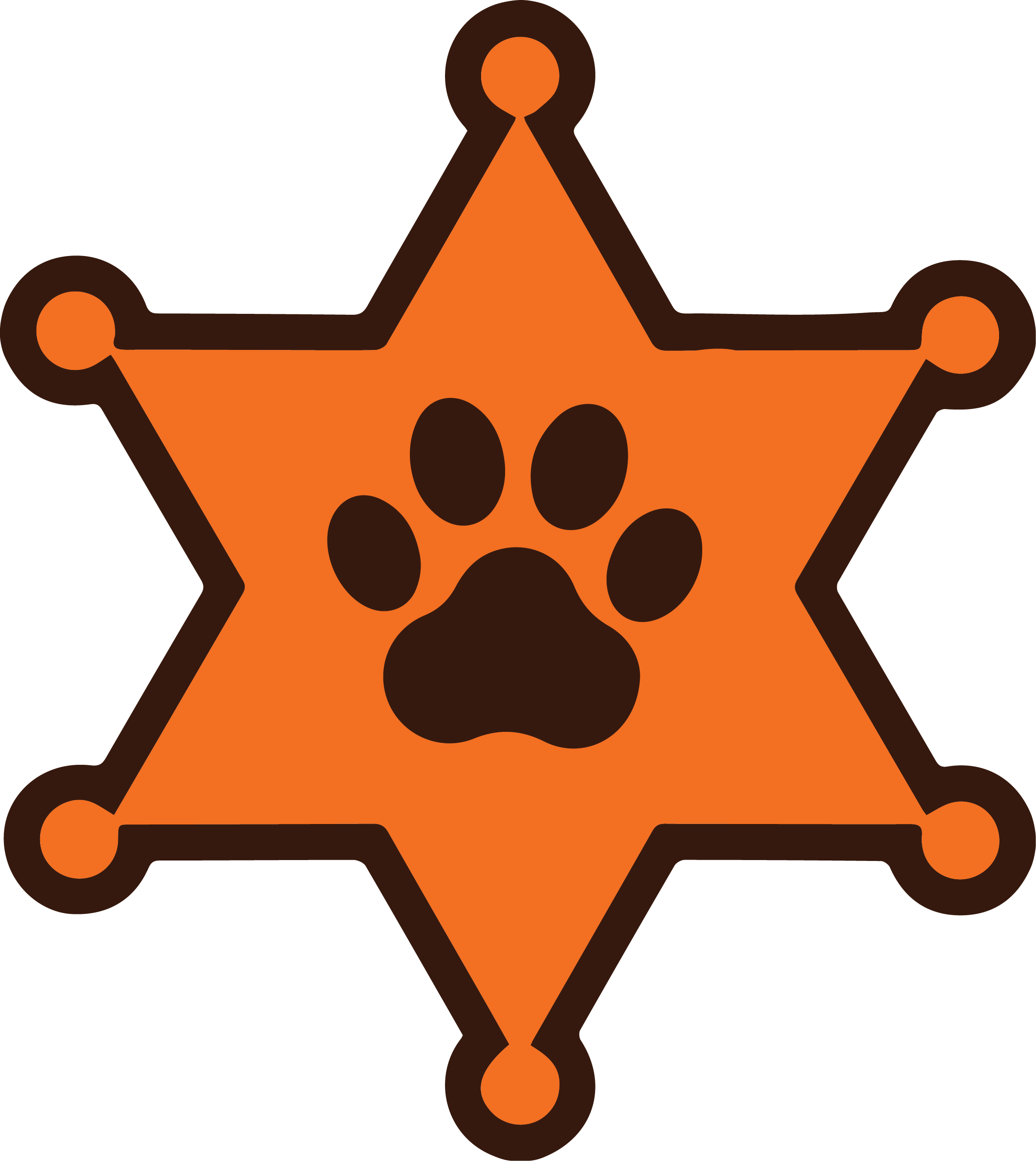 Woof n' Waggle- Perth's Best Dog Daycare, Dog Grooming & Training ...