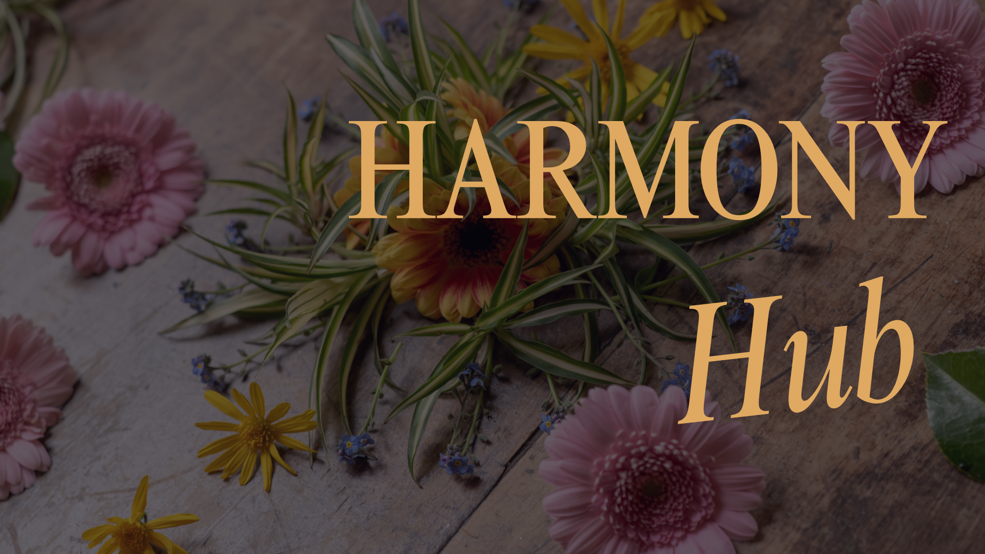 HARMONY HUB — I AM TRACY BEE