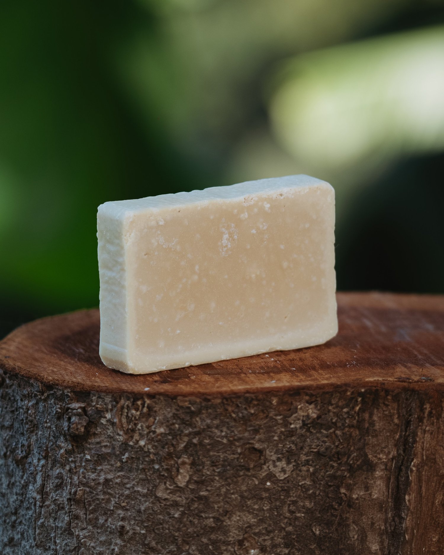 Shop Herbal Remedies | Natural Wellness | Gathered Blends Australia ...