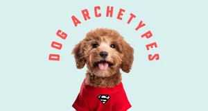Understanding Your Dog’s Secret Archetype? — WiskaWoo