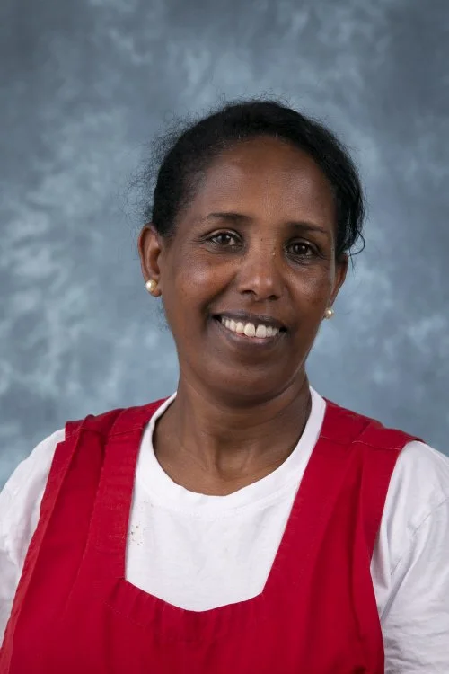 Tilsette — Sygna vgs