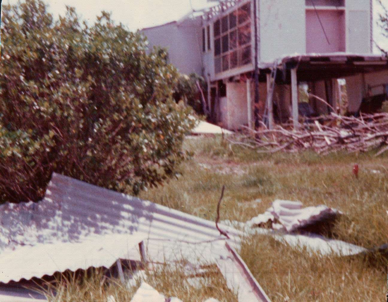 Pearl Chaloupka Fine Artist