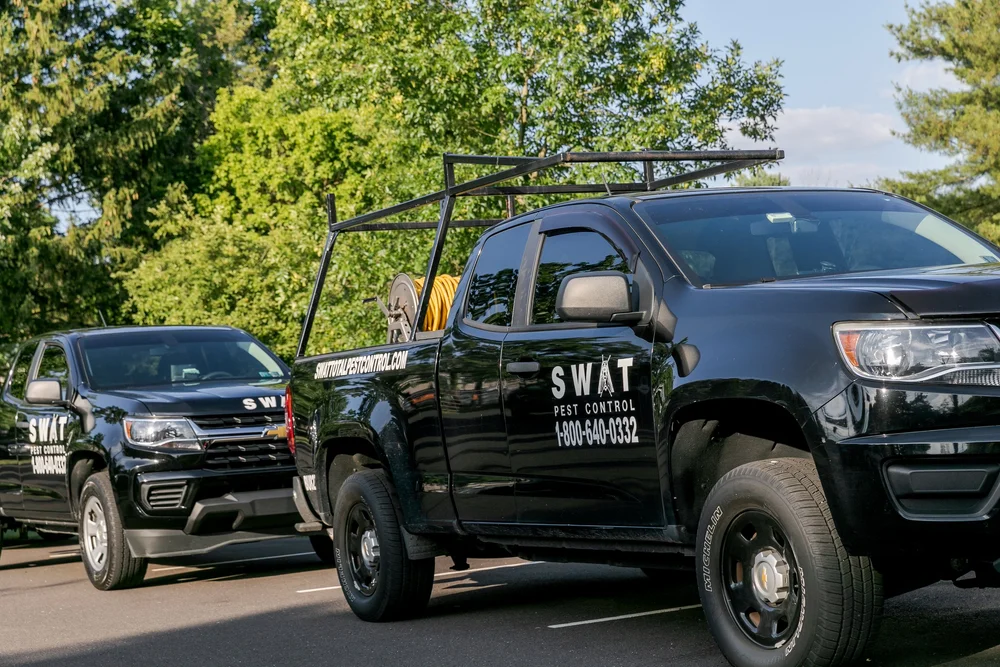 Contact — SwatPestControl