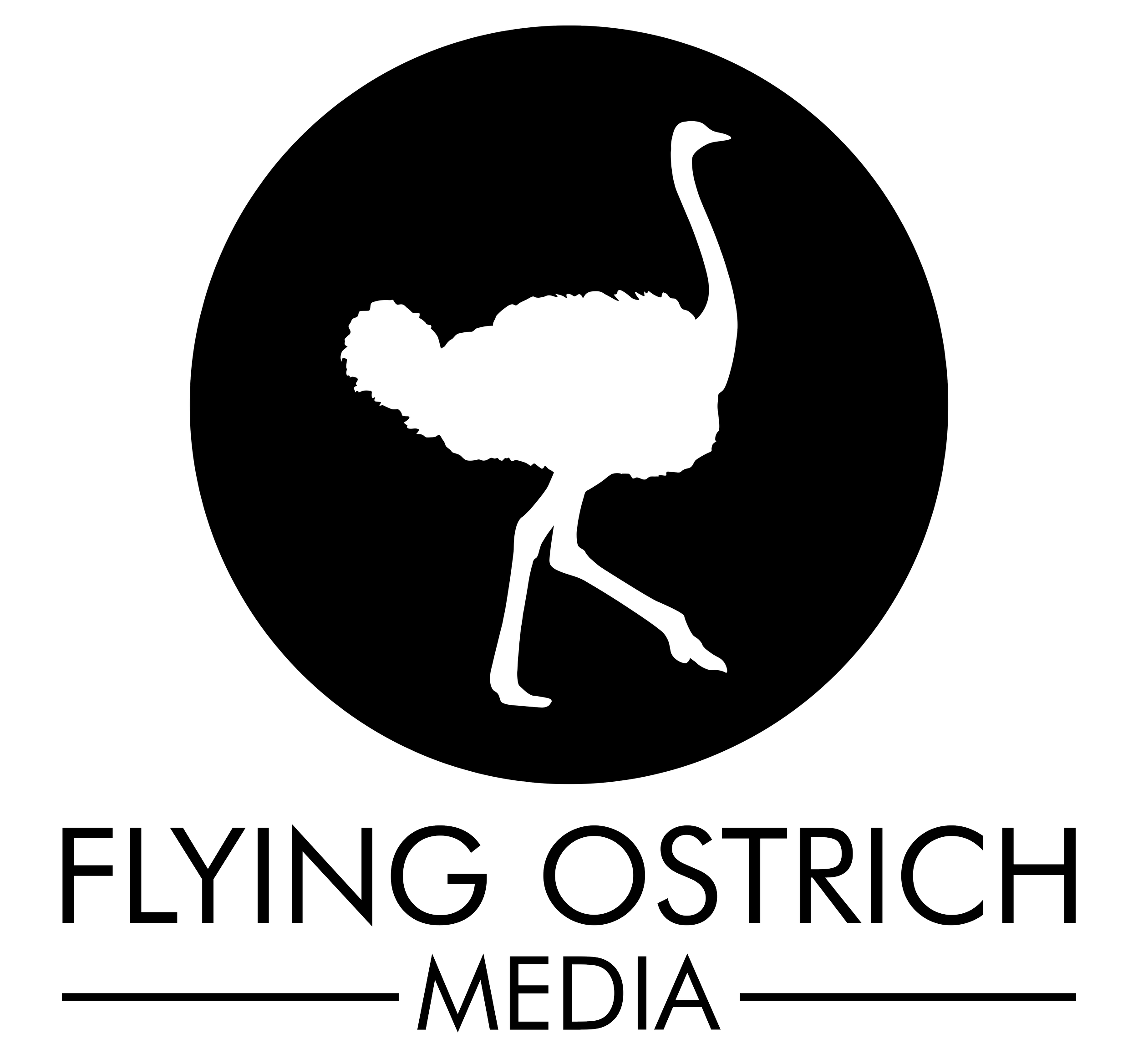 SPONSORS — Maya Dronca Foundation