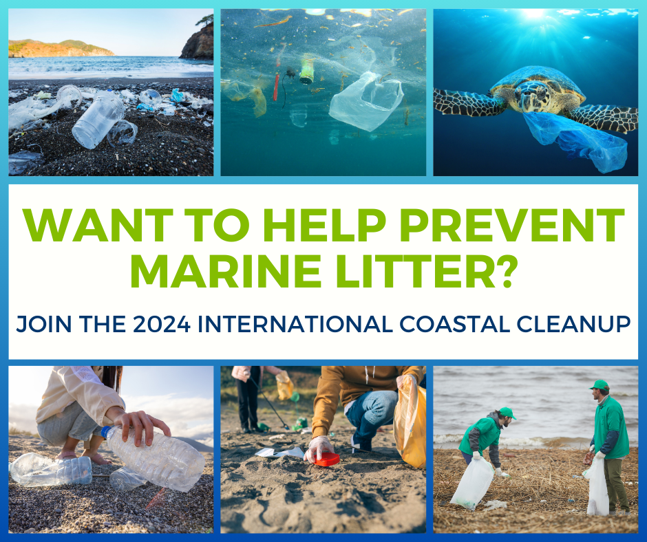 Join a Cleanup — Clean Virginia Waterways