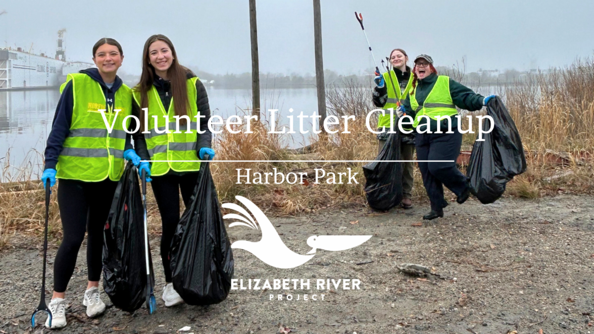 Join a Cleanup — Clean Virginia Waterways