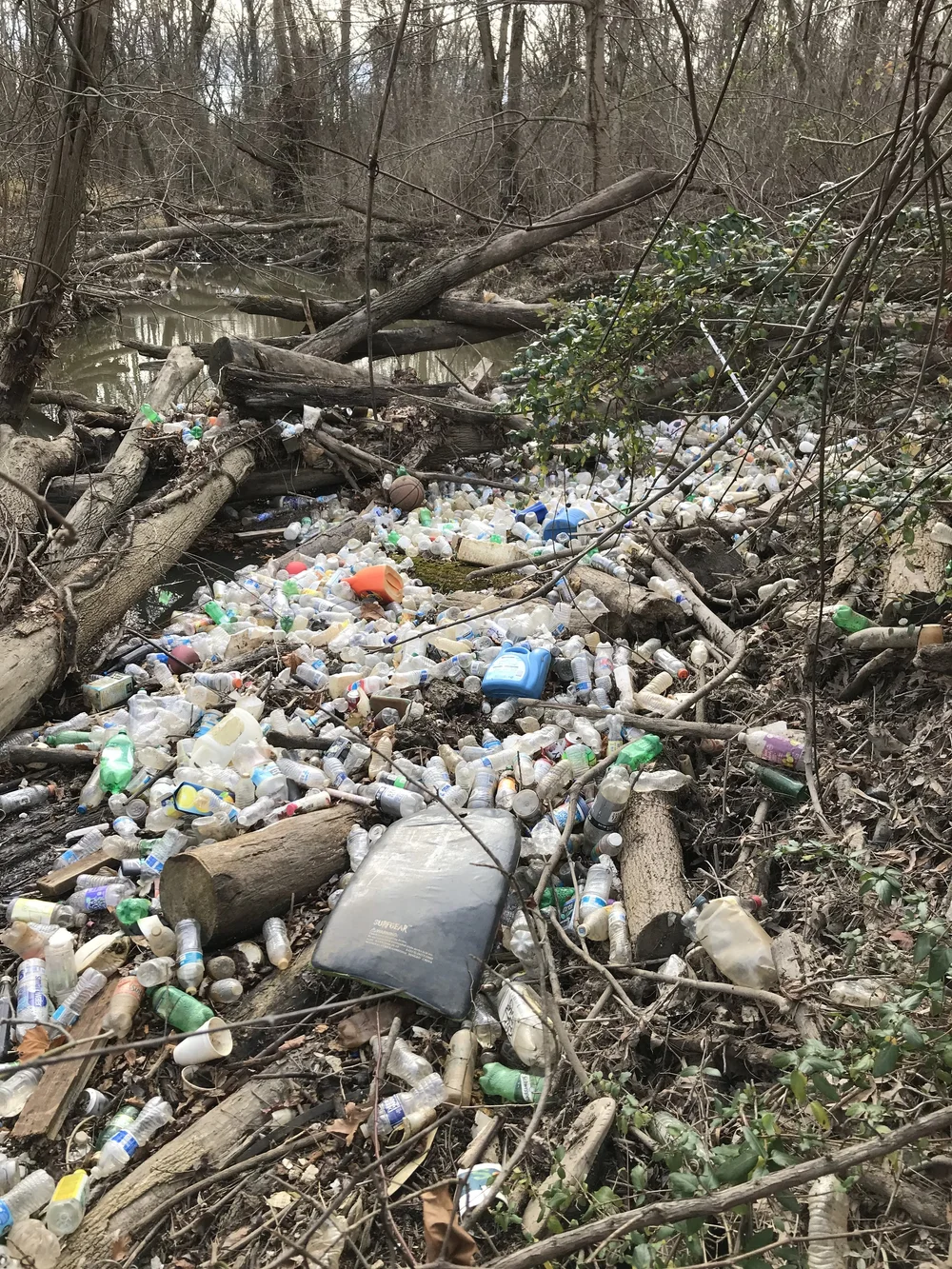 Clean Virginia Waterways