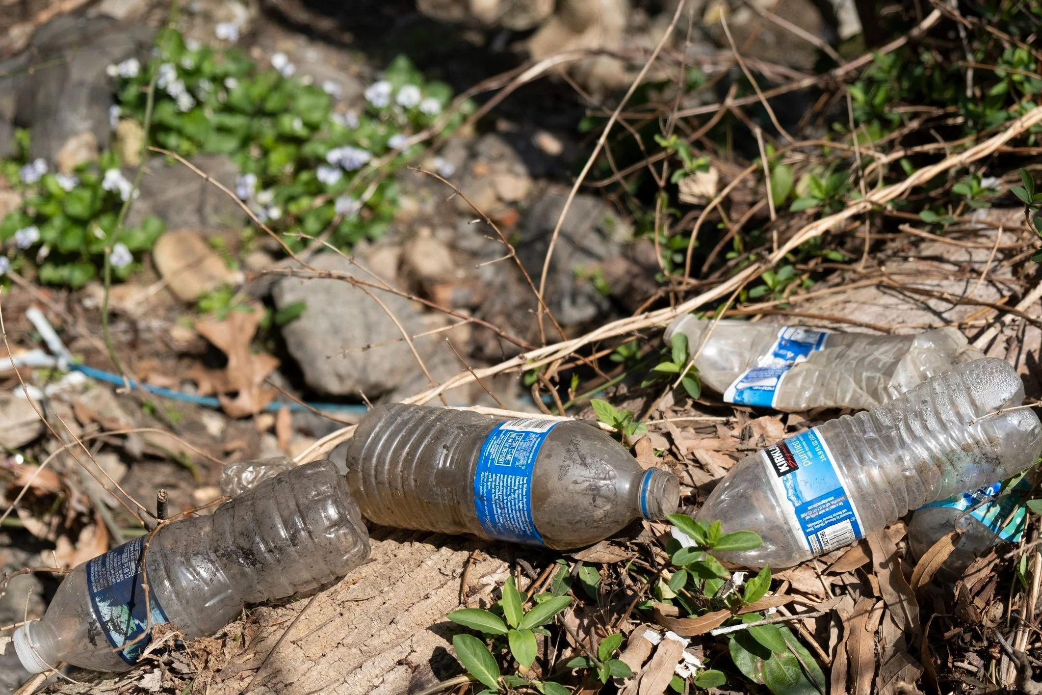 Clean Virginia Waterways